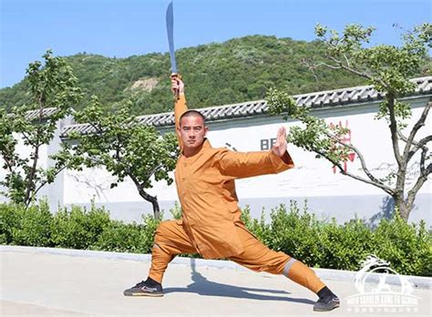 Shaolin Master Shi Yan Hua Qufu Shaolin Kung Fu School