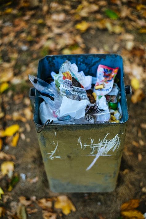 ≫ ¿pueden Los Residuos Biodegradables Ser Dañinos Mayo 2025