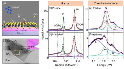 Raman And Photoluminescence Pl Spectra Of Pristine And Electron Download Scientific Diagram