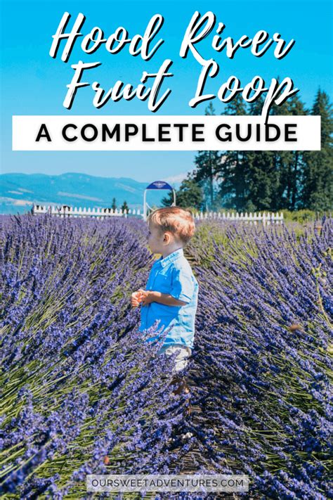 The Best Stops On The Hood River Fruit Loop A Complete Guide