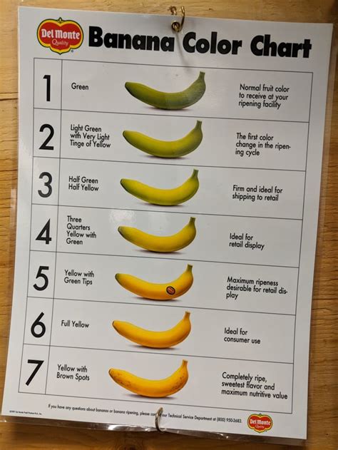 This Banana Ripeness Chart I Found In A Warehouse Mildlyinteresting