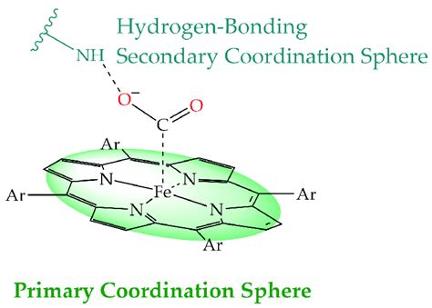 Representation Of Primary And Hydrogen Bonding Secondary Coordination Download Scientific