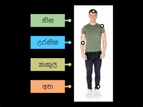 ශරීරයේ කොටස් Labelled Diagram