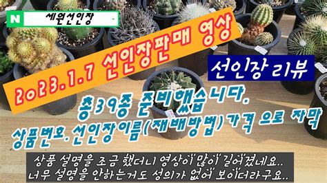 선인장 리뷰 🌵 세원선인장 상품 판매 영상 선인장설명 농장직거래 선인장택배 선인장포장 Youtube