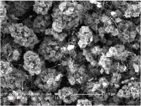 Co Doped Micro Sphere Carbon Fiber Composite Material And Preparation Method Thereof Eureka