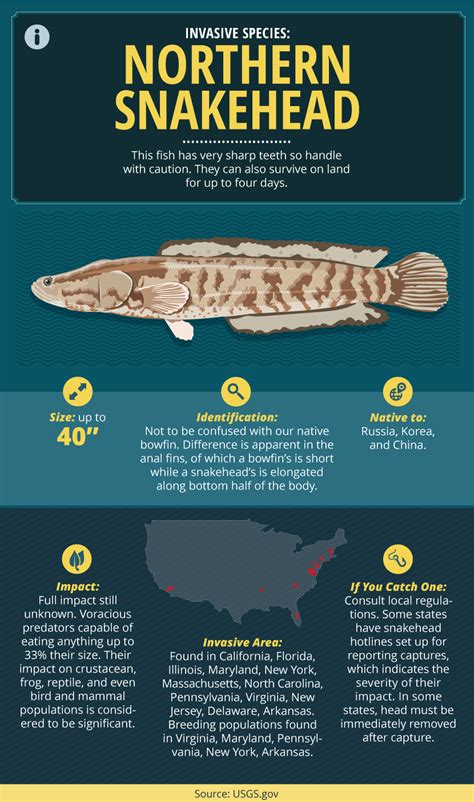 Guide To Invasive Fish Species