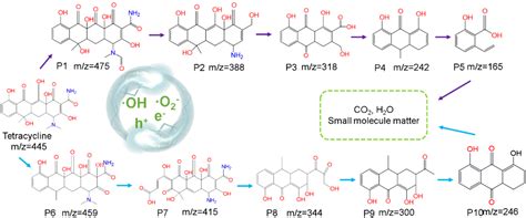 Electron Rich Biochar Enhanced Z Scheme Heterojunctioned Bismuth Tungstatebismuth Oxyiodide
