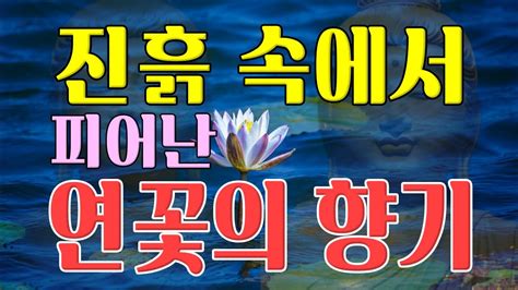 연속듣기 10시간 진흙 속에서 피어난 연꽃의 맑은 향기불교음악 명상음악 힐링음악 찬불가 종교음악 Youtube