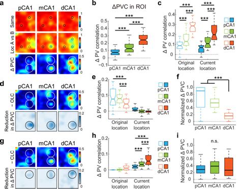 Object Translocation Induces Event Coding In The Rat Hippocampus Pmc