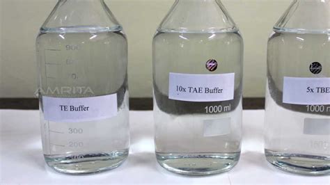 Tris Acetate Edta Buffer Recipe Bryont Blog