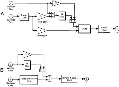 Open Loop Model Used To Test The Interaction Between Slow And Fast