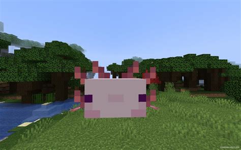 Minecraft Axolotl Tail