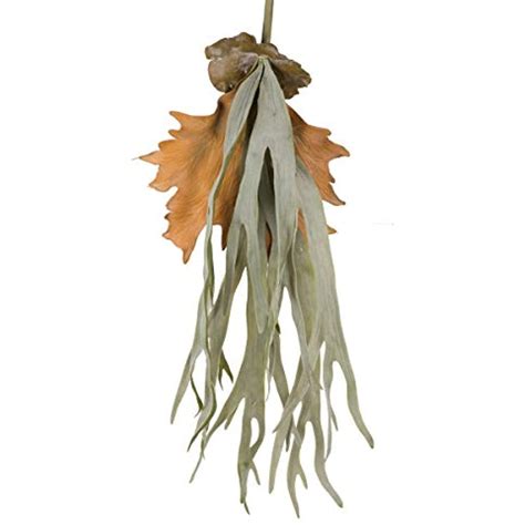 Faux Mature Reindeer Grass Stem In Dark Green Colorgreenstyle