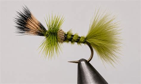 Green Drake Cripple Dry Fly Green Drake Mayfly Pattern Stone Creek