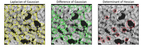 He染色した画像をブロブ検出したい
