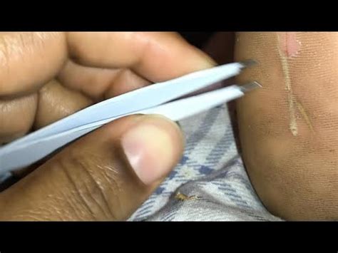 Part 2 Of Splinter YouTube