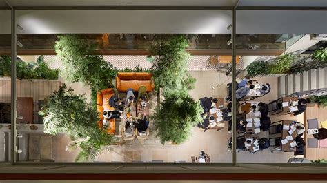 Treehouse Is A Sloping Block Of Co Living Apartments With A Tree Filled Atrium