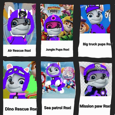Paw Patrol Roxi In Types Of Subseries Outfits By Jennifermcafee On