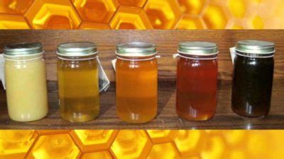 Explainer Video Of Inga Honey Sticks Vidsaga Com