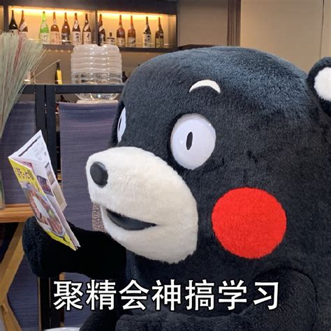 今 天 你 学 习 了 吗 高清图片堆糖美图壁纸兴趣社区