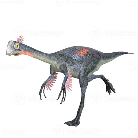 Gigantoraptor Dinosaur Isolated 3d Render 18971920 Png