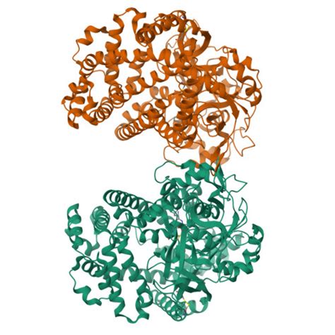 Rcsb Pdb 8grt Small Dipeptide Analogues Developed By Co Crystal