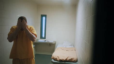 Last Days Of Solitary Frontline