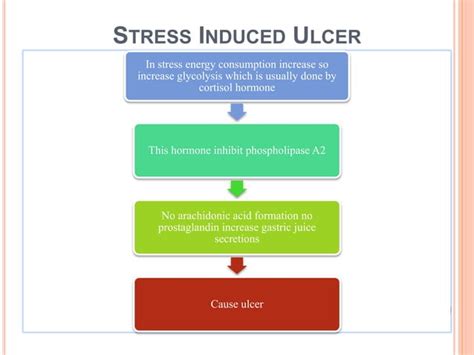 Pathophysiology Of Peptic Ulcer PPTX