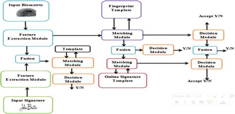 Various Levels Of Fusion In Multi Model Biometric Systems 4 Download Scientific Diagram