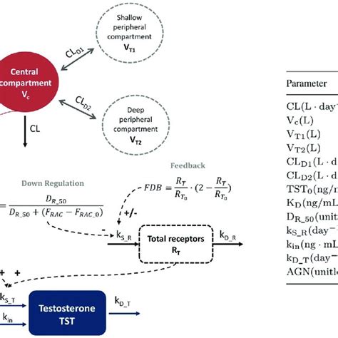 Schematic Representation Of The State Variables And Control Input For Download Scientific