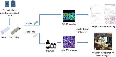 Work Flow Of Quantum Cascade Lasers Qcl Based Ir Imaging Systems In Download Scientific