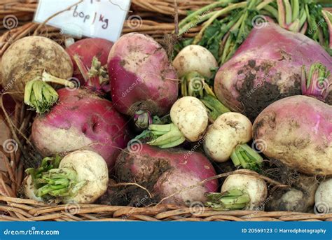 Parsnips And Turnips Stock Image Image Of Beet Root 20569123