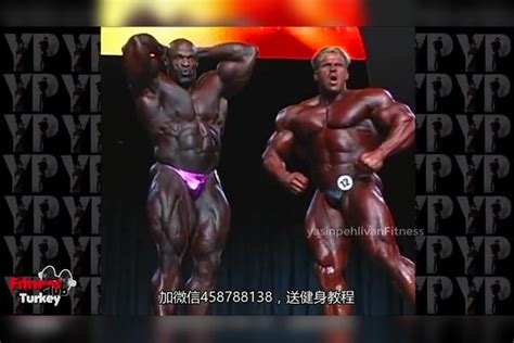 健美传奇的巅峰对决乔卡特罗尼库尔曼菲尔希斯 罗尼库尔曼 卡特 菲尔