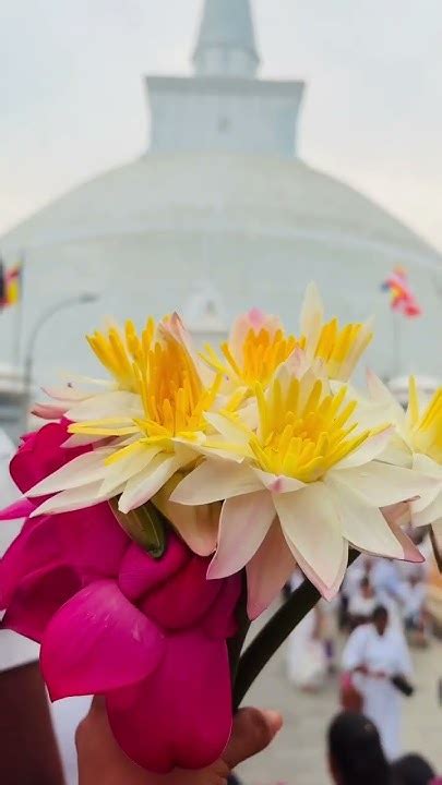 අලුත් අවුරුද්දක ආරම්භය මෙසේ සනිටුහන් විය🙏🙏♥️♥️ Happynewyear2025 Youtube