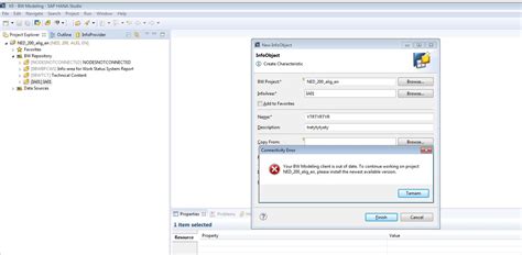 Bw Modeling Creating Infoobject Error Your Bw Mod Sap Community
