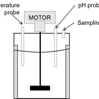 The Batch Reactor For Cobalt Removal Experiments Of Lew Download Scientific Diagram