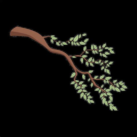 How To Draw A Tree Branch Step By Step