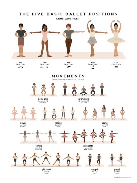 Ballet Positions Names With Pictures