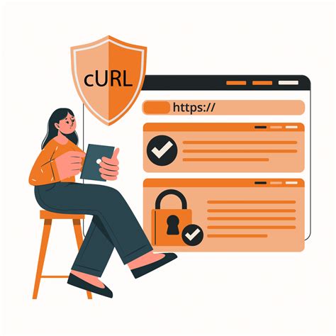 Curl D Command What Is It And Benefits For Data Transfer Netnut