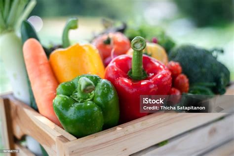 건강하고 신선한 유기농 과일과 채소를 다양하게 담은 상자 0명에 대한 스톡 사진 및 기타 이미지 0명 가득 찬 개체 그룹 Istock