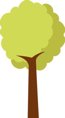 Tree Of Life PNGs For Free Download Tree Of Life PNGs For Free Download