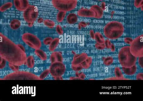 Digitally Generated Animation Of Red Blood Cells And Binary Codes