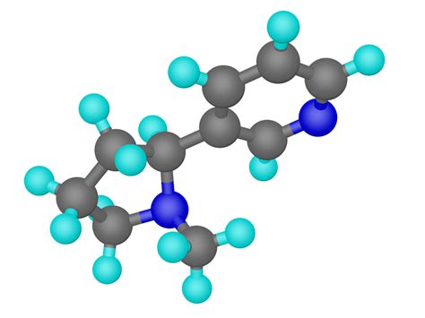 Valence Bond Theory Vbt Definition Application Class 11
