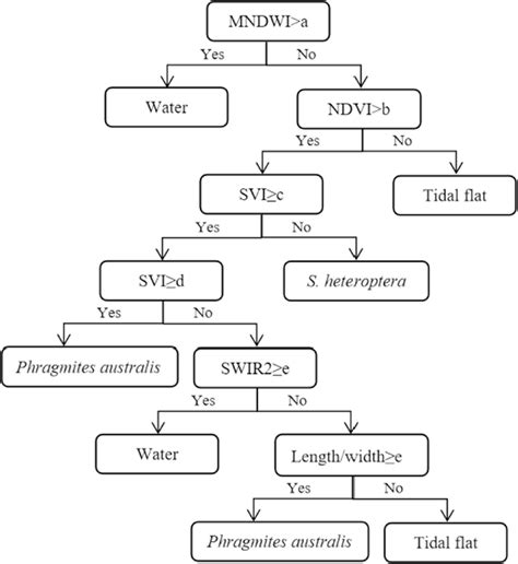 Decision Tree For Land Cover Classification Download Scientific Diagram