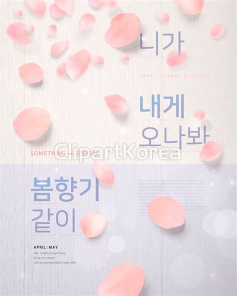 적합한콘텐츠감성고해상기억꽃꽃잎로즈쿼츠 색 메시지문자벚꽃봄사람없음세레니티팬톤컬러합성이미지향기 웹사이트 디자인 레이아웃 벚꽃 프로모션 배너