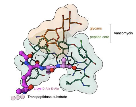 Pdb 101 Global Health Antimicrobial Resistance Undefined