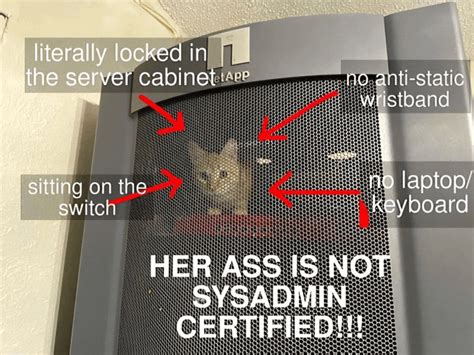 Her Ass Is Not Sysadmin Certified Rokbuddyphp