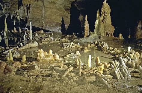 Youngsub 칠흑같이 어두운 동굴 속 300미터가 넘는 깊이를 탐험하다가 현대 인류보다 10만 년 이상 앞선 세심하게 배열된 석조 구조물을 발견했다고 상상해 보세요