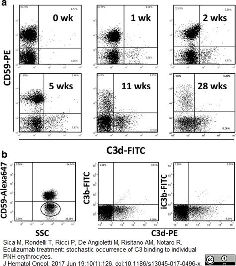 Anti Human C3b Antibody Clone H11 Bio Rad