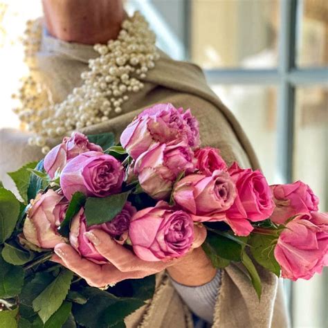 Candy Xpression Garden Rose Sami Sacha Flowers